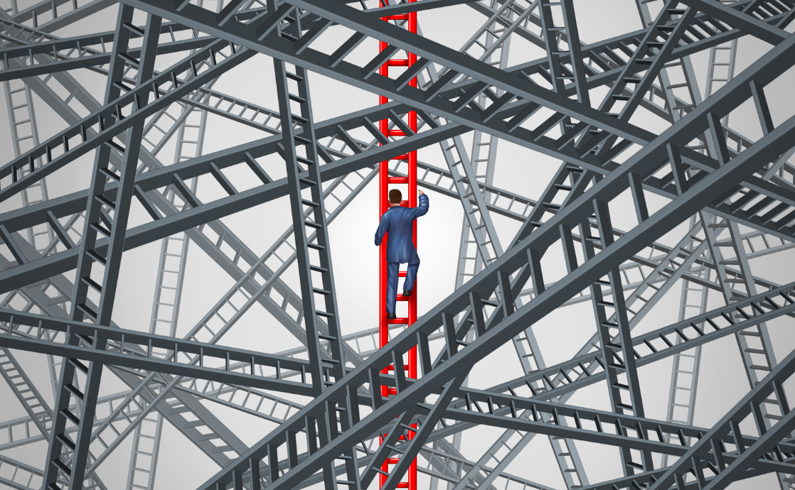 Surviving and Thriving, Despite the Chaotic Forces of Modern Life ...