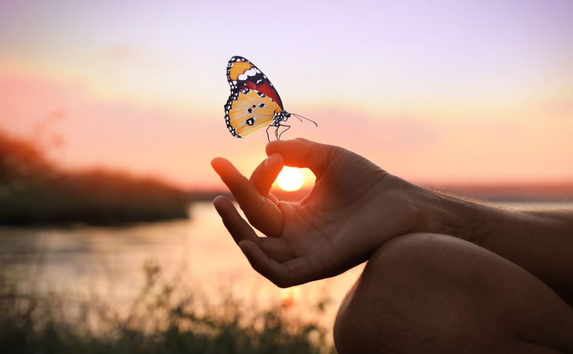 From the Babi Revelation to the Baha'i Faith - Bahai Journal